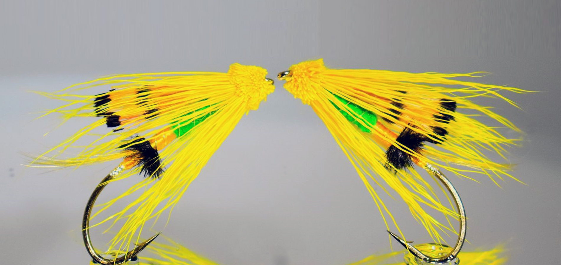 The Muddler and its Efficiency | SHOR FISHING