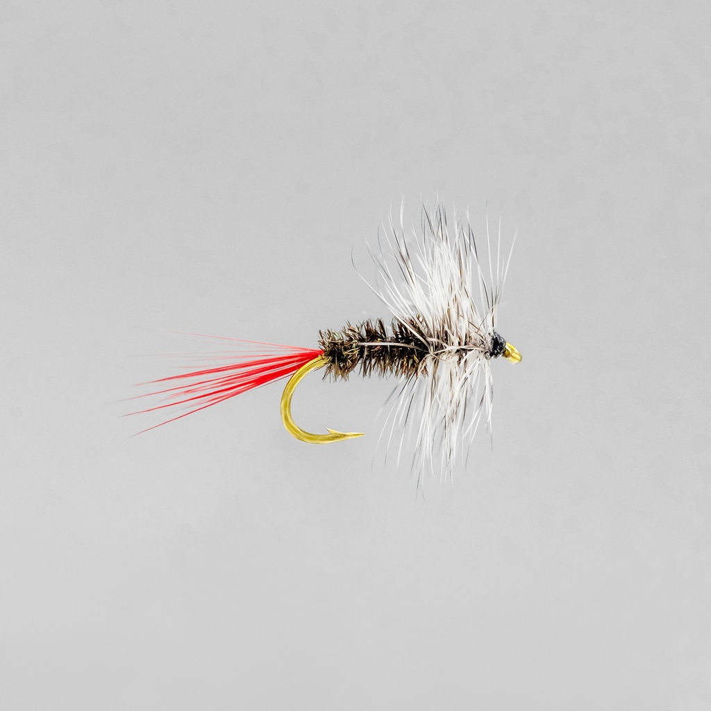 NEPTUNE FLIES - Grey Hackle (DRY) | SHOR FISHING