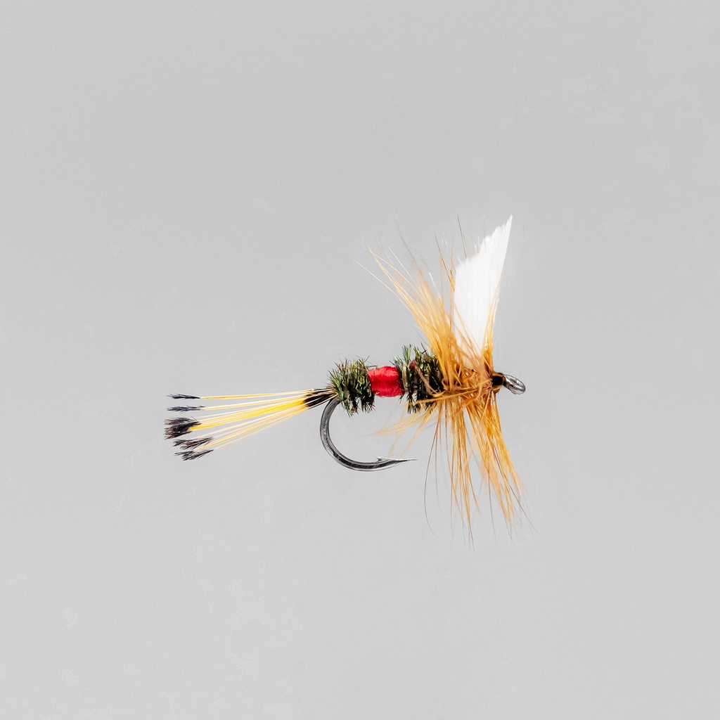 NEPTUNE FLIES - Royal Coachman (DRY) | SHOR FISHING