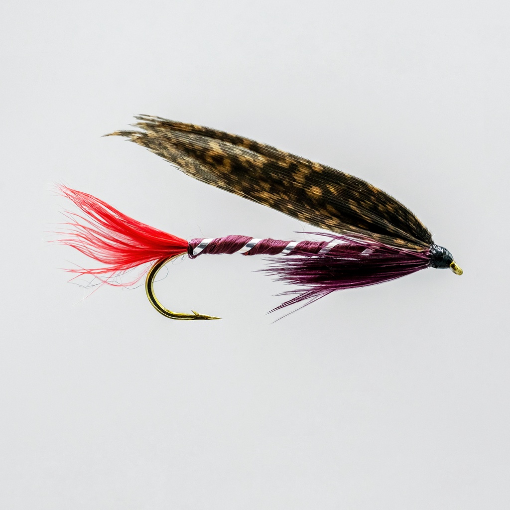 NEPTUNE FLIES - Dark Montreal Streamer (STREAMER) | SHOR FISHING