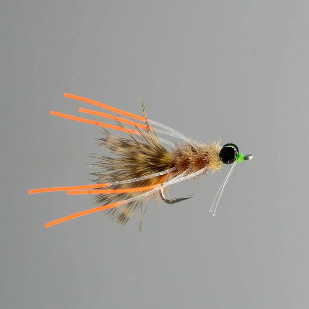 Tan Crab | SHOR FISHING